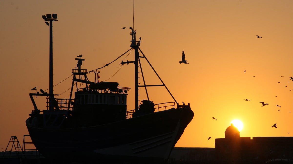 Civil Vessel Detection For Coast Guard With Sar Data